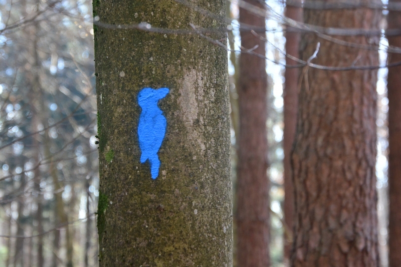 E-novice iz Krajinskega parka Goričko 3/2024 - Krajinski park Goričko