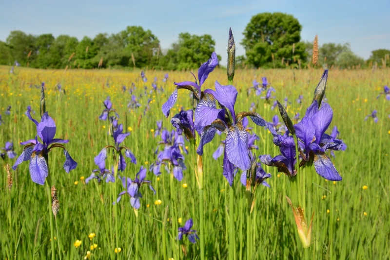 E-novice iz Krajinskega parka Goričko 16/2023 - Krajinski park Goričko